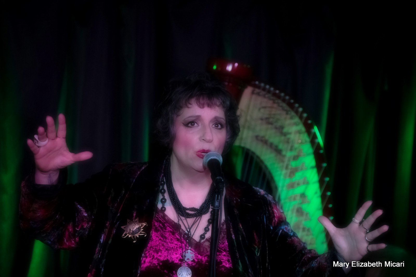 Mary Elizabeth Micari: Life in C-Sharp « Arts Independent